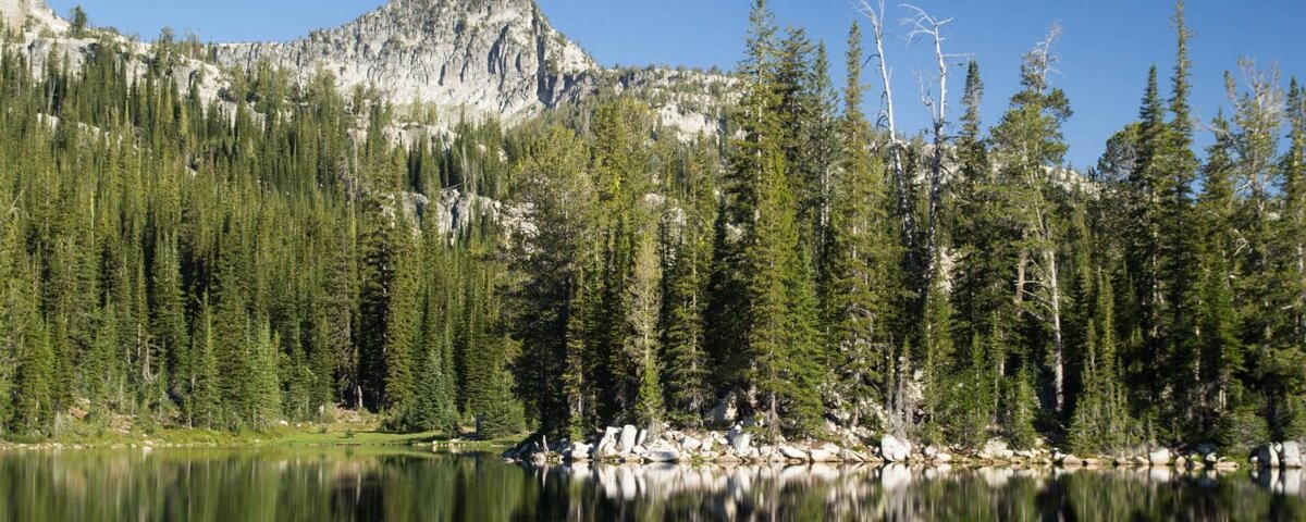 Activities — Minam River Lodge